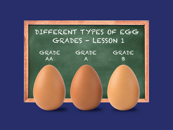 Egg Grades 101 | What Do Egg Grades Mean? – Pete & Gerry's