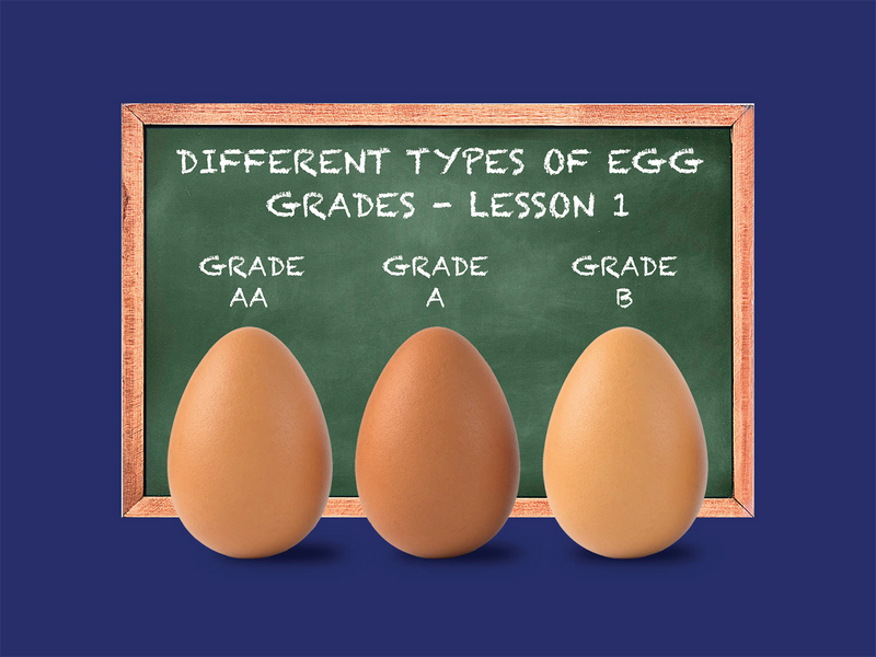 Egg Grades 101 | What Do Egg Grades Mean? – Pete & Gerry's